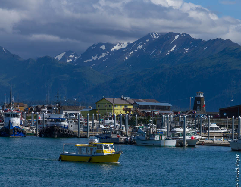 Homer Odyssey – The Town of Homer – Piddlin' Around